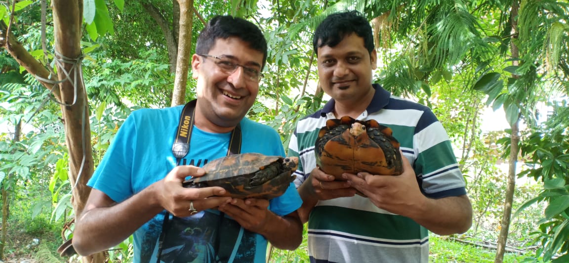 NEW TORTOISE SPECIES DISCOVERED IN ARUNACHAL PRADESH - Green Minute