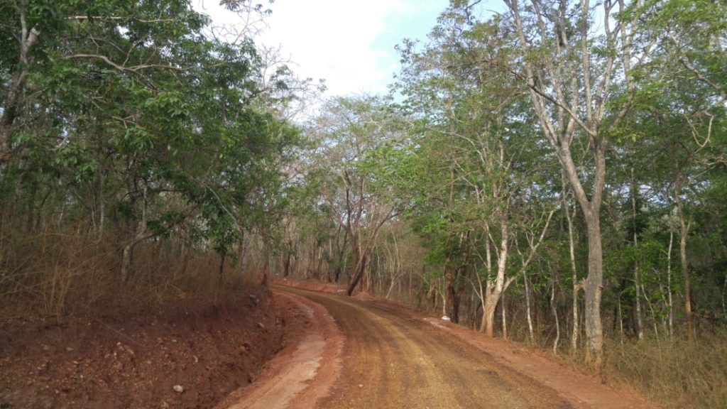 Violations Galore in Singanamane Forest, Bhadra Tiger Reserve - Green ...