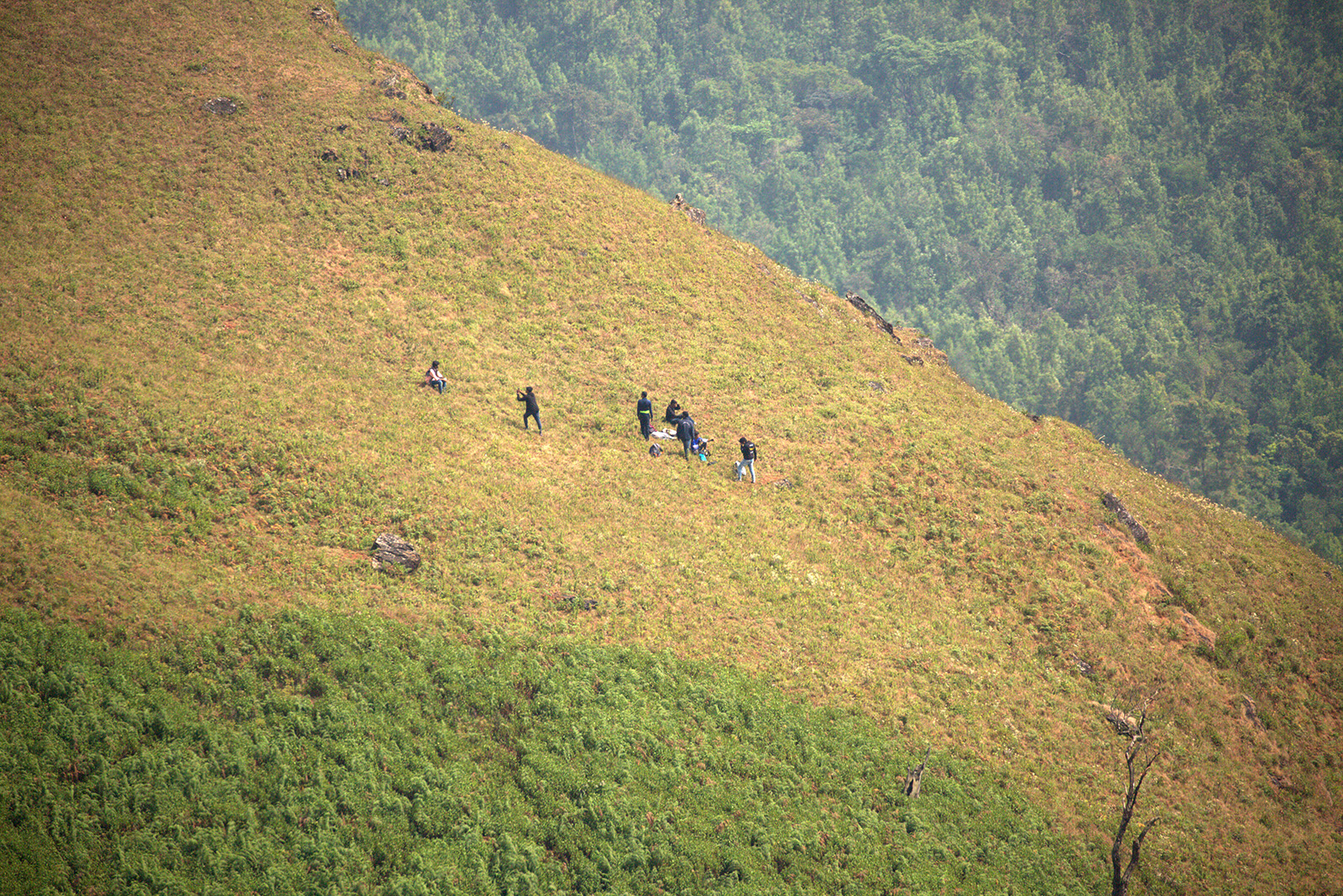 UNREGULATED TOURISM CONTINUES UNABATED IN MULLAYANAGIRI HILL RANGES ...