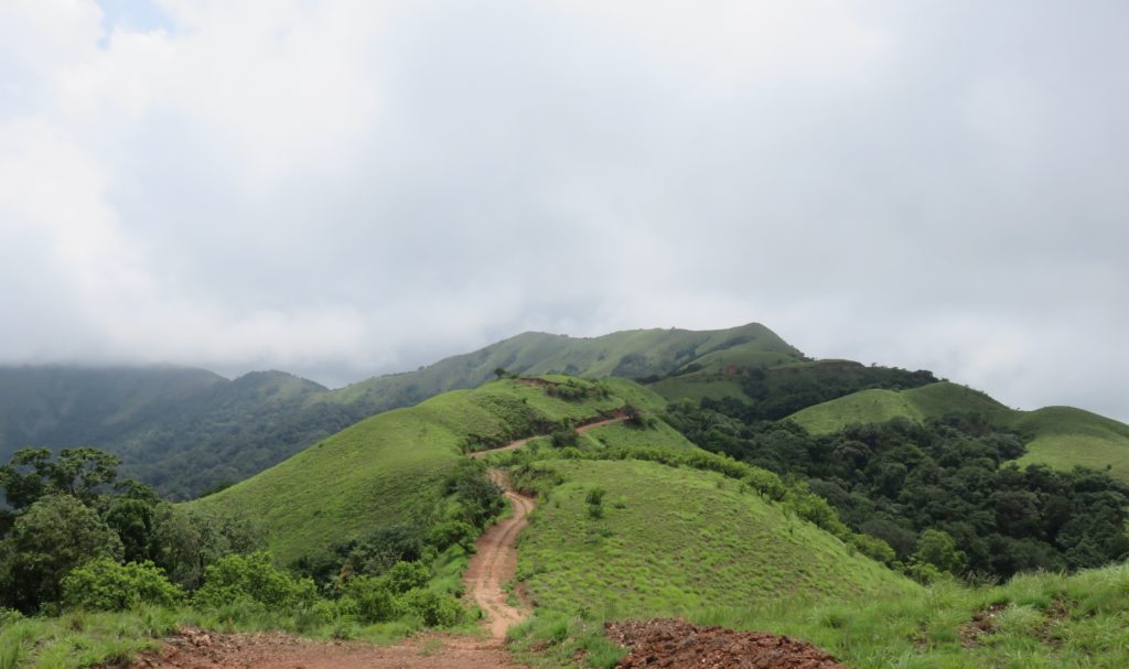 STUDY OUTLINES THE POSSIBLE IMPLICATIONS OF SHISHILA-BYRAPURA ROAD ...