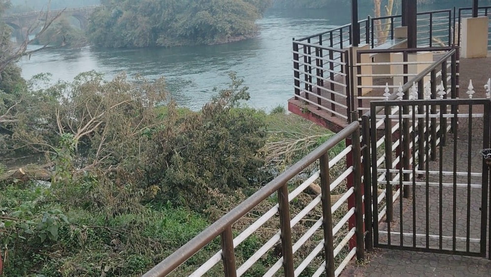 HORNBILLS' HABITAT DETERIORATES EVEN AS DANDELI HOLDS HORNBILL FESTIVAL ...