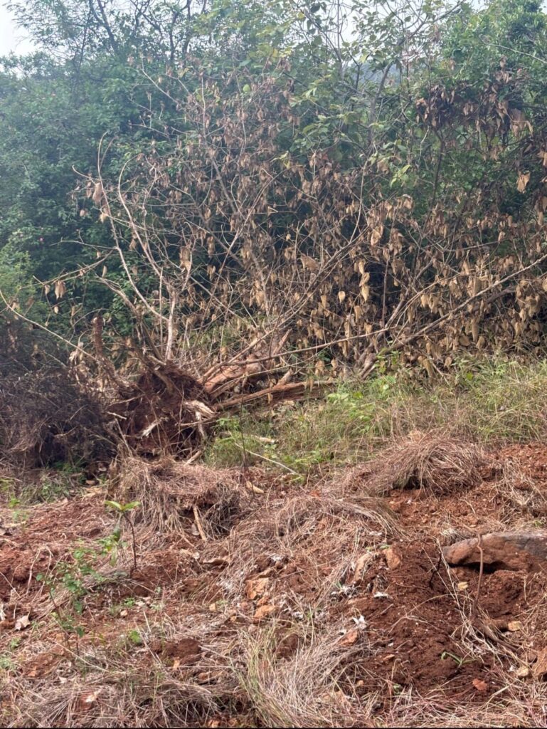 CAUVERY SANCTUARY HAS BECOME AN ENGINEERING PROJECT RATHER THAN ...